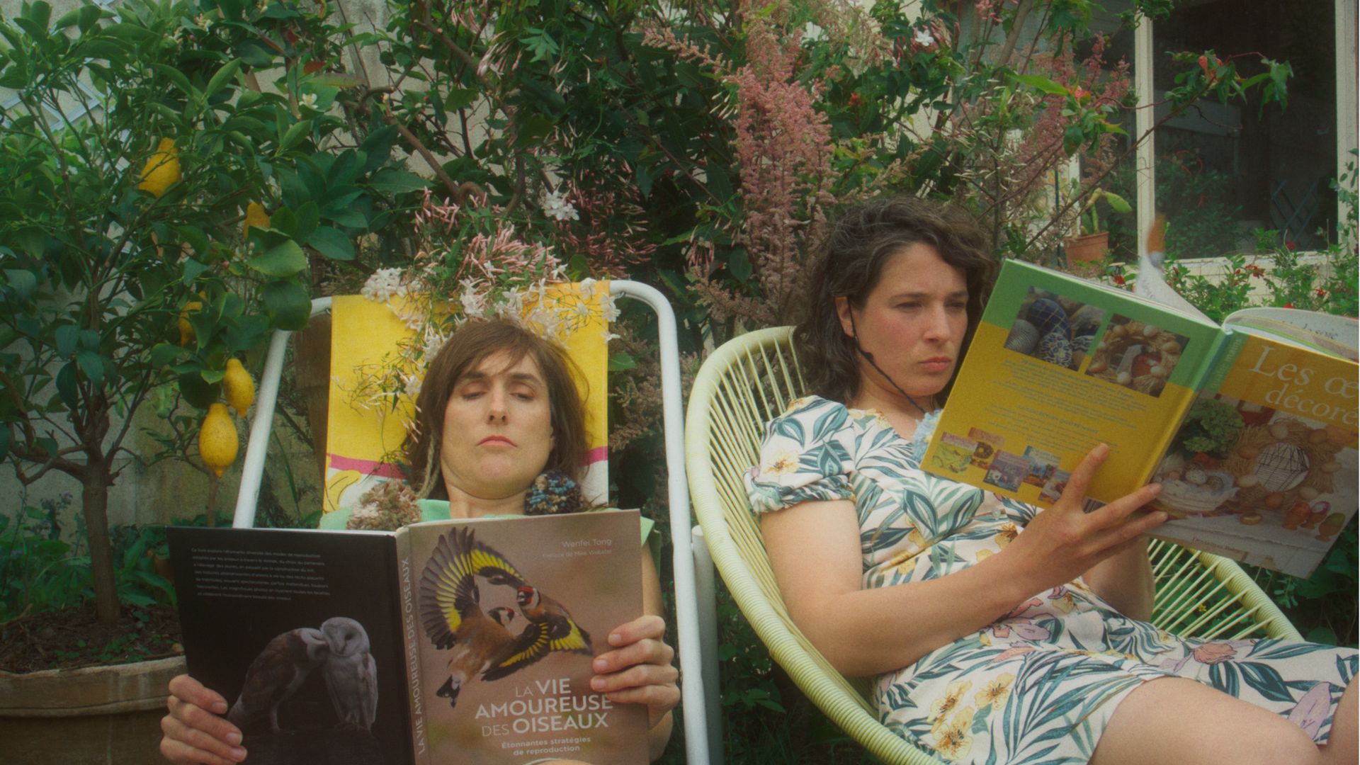 Hanami (2024) / submitted films - ALTER-NATIVE 33 - ALTER-NATIVE 33